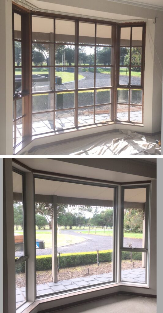 Bay Windows - Windows by Geoff Case